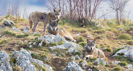 Fresh picks - The latest and greatest imagery from Alamy